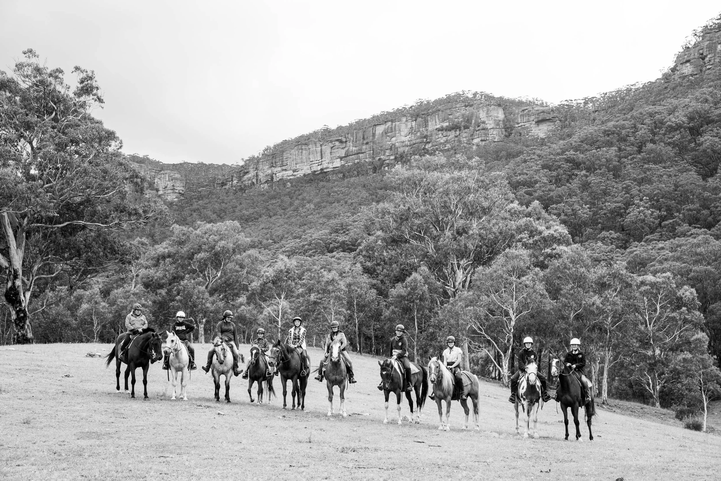 Gallery — Centennial Glen Stables