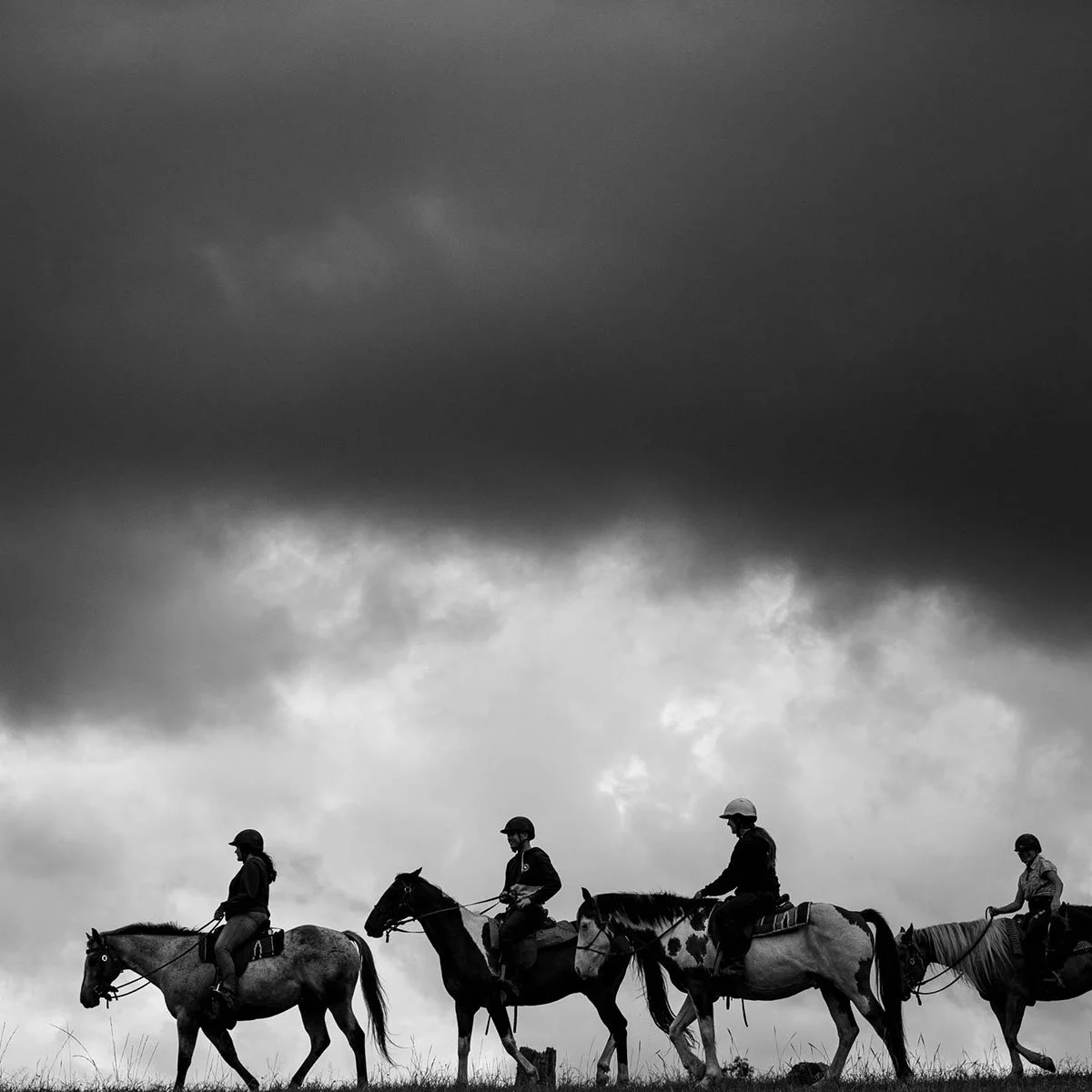 Blue Mountains Horse Riding | Centennial Glen Stables