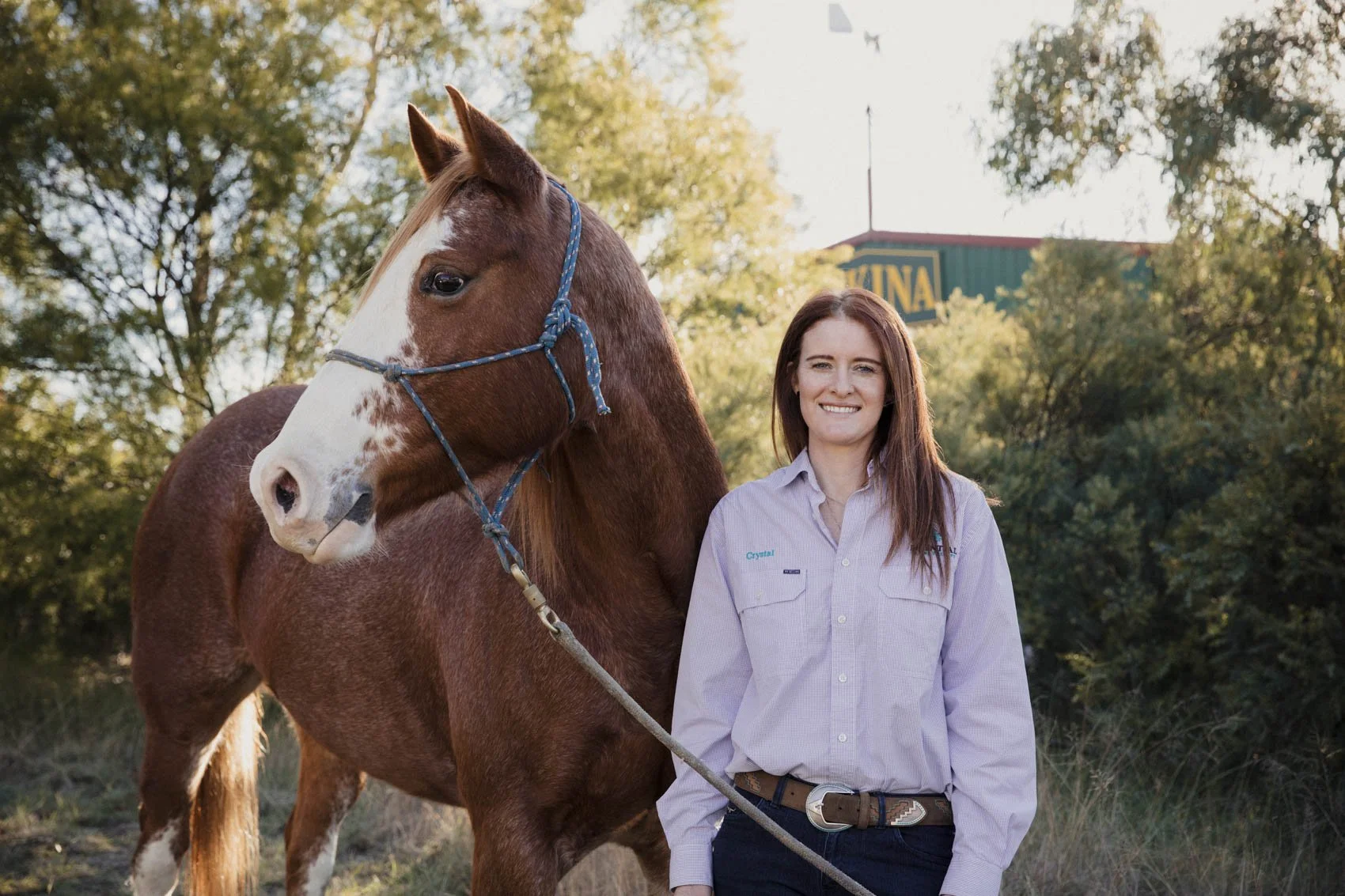 Blue Mountains Horse Riding | Centennial Glen Stables