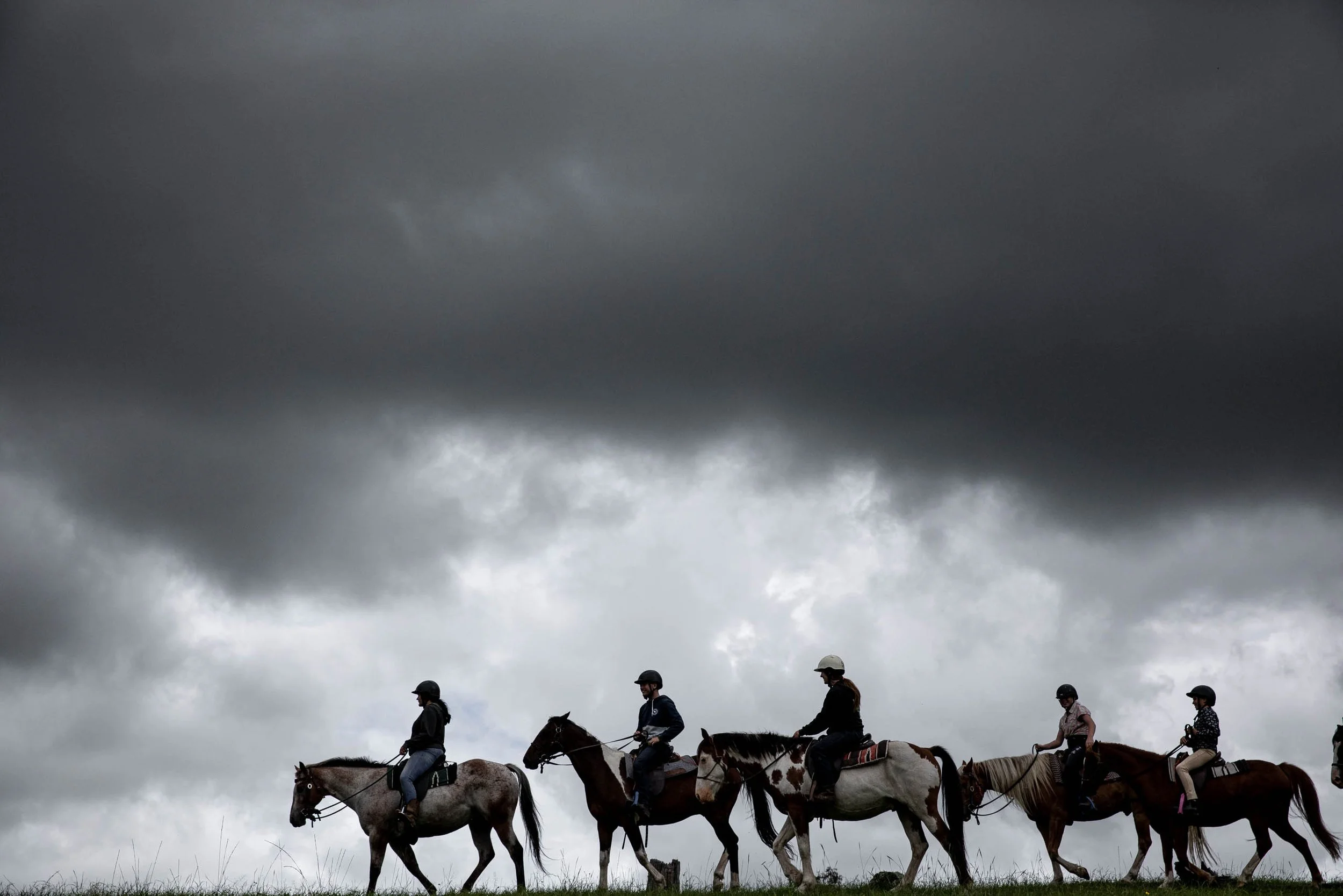 Gallery — Centennial Glen Stables