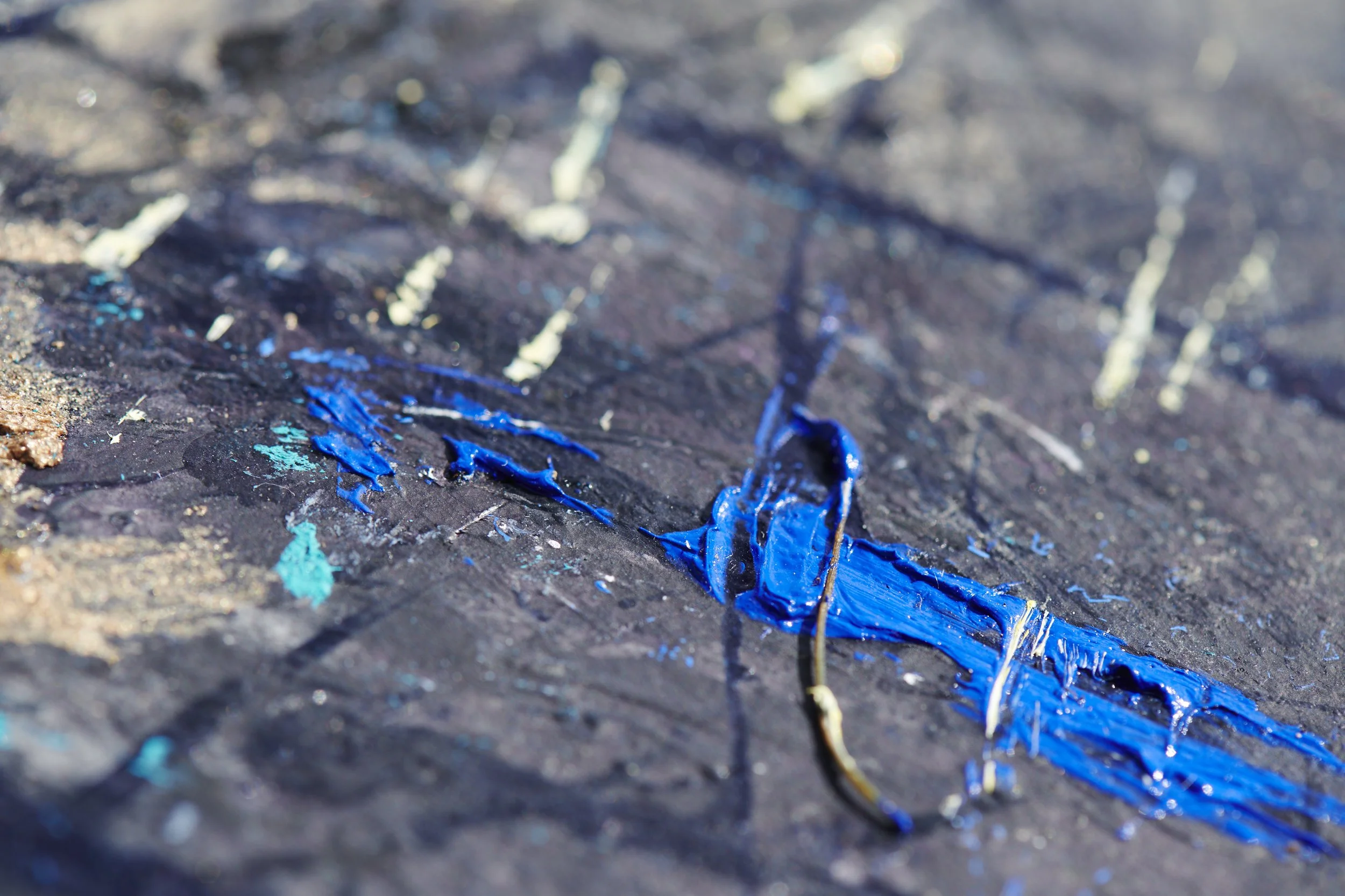 About — Pascale Rentsch