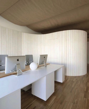 Social Media Management, Web & Graphic Design | Studio 12