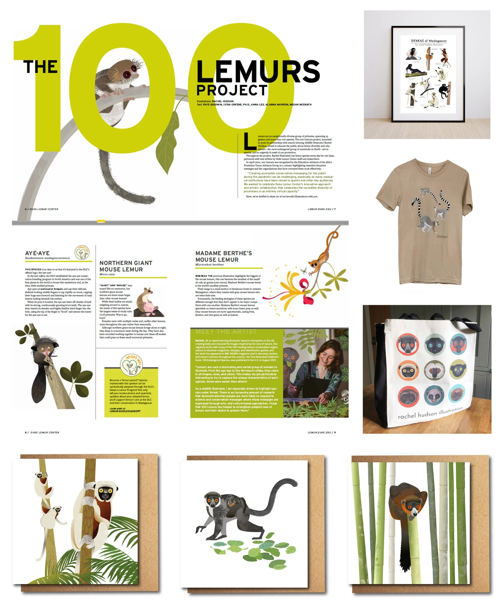 100 Lemurs Project — Rachel Hudson Illustration | Illustrating The ...
