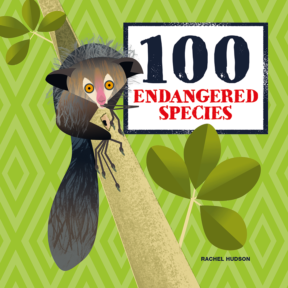 Rachel Hudson Illustration | Illustrating The Natural World | Editorial ...