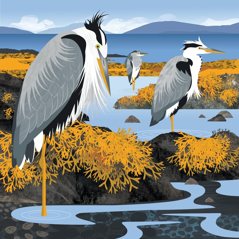 Greetings Cards — Rachel Hudson Illustration | Illustrating The Natural ...