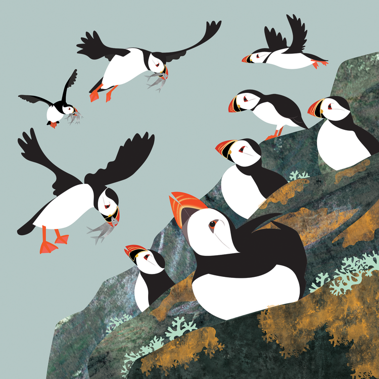 Greetings Cards — Rachel Hudson Illustration | Illustrating The Natural ...