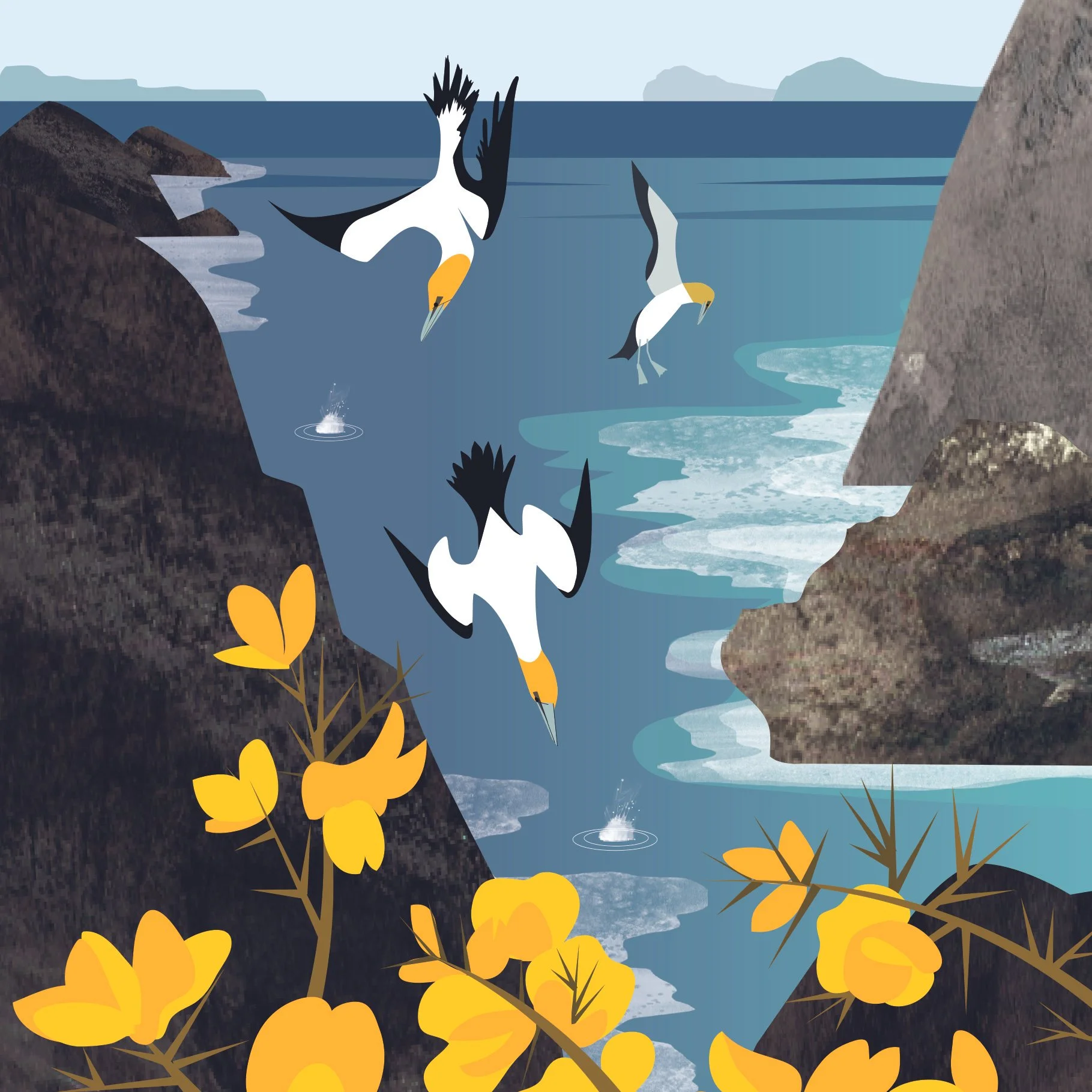 Greetings Cards — Rachel Hudson Illustration | Illustrating The Natural ...