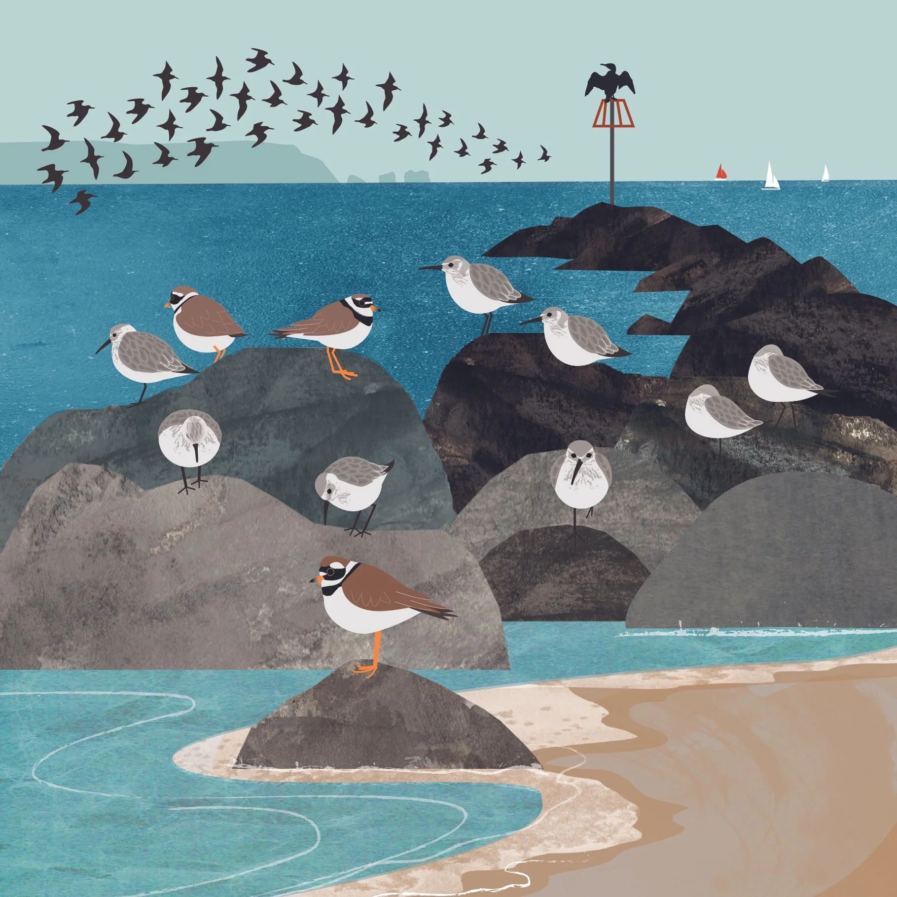Greetings Cards — Rachel Hudson Illustration | Illustrating The Natural ...