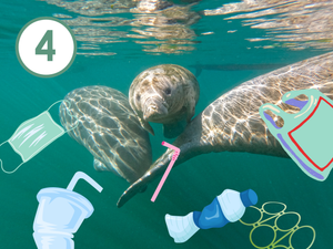 Take MAR - More Action for Regeneration