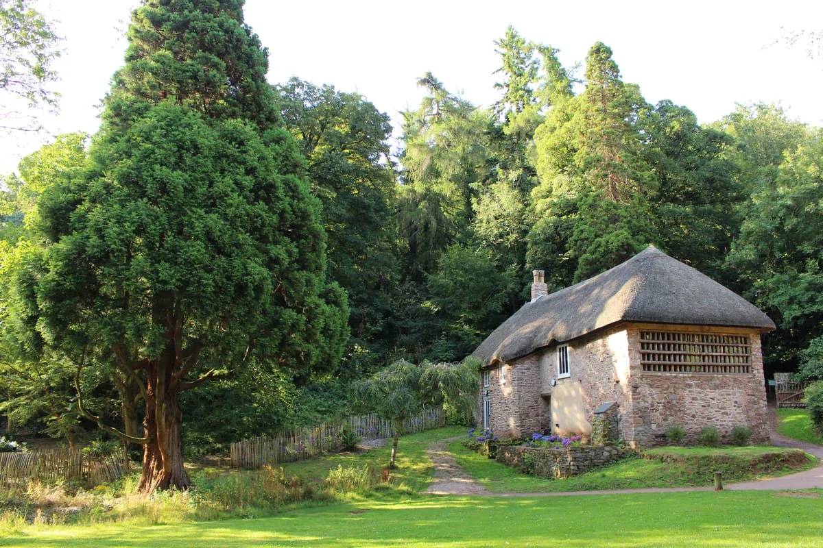 Things to do in Devon this summer — The Cliffden Hotel