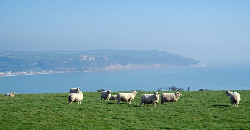 Why visit Devon this Spring? — The Cliffden Hotel