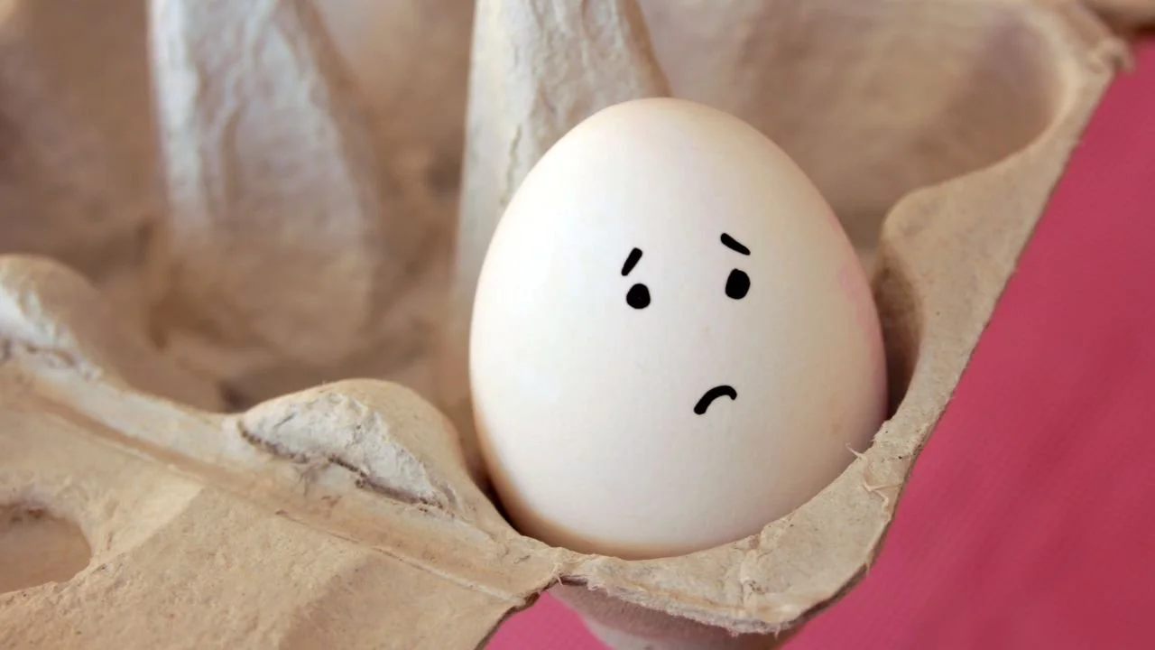 5 Powerful Ways to Improve Egg Quality with PCOS — Dr. Angela Potter I ...