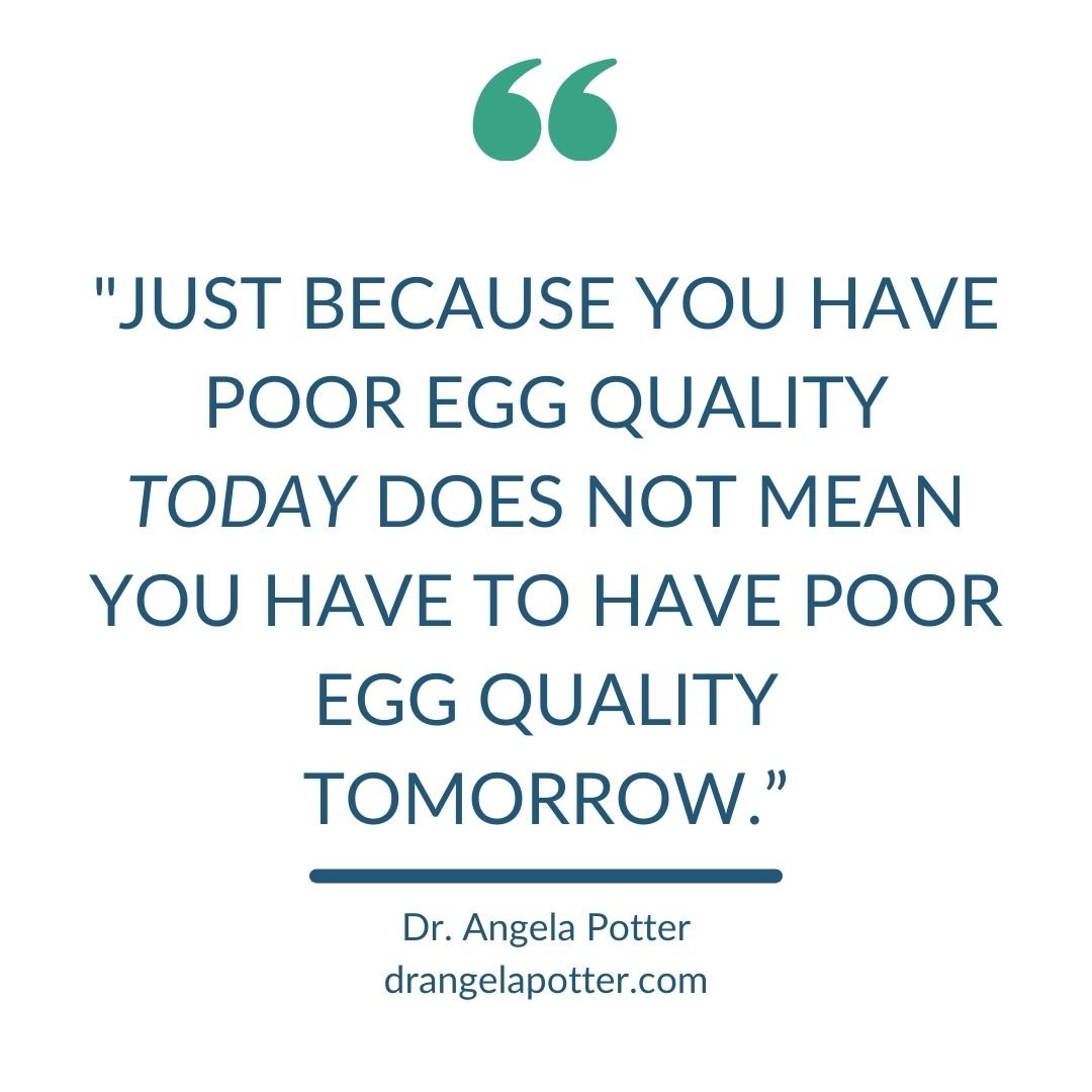 Can I Still Get Pregnant With Poor Egg Quality? — PCOS Fertility ...