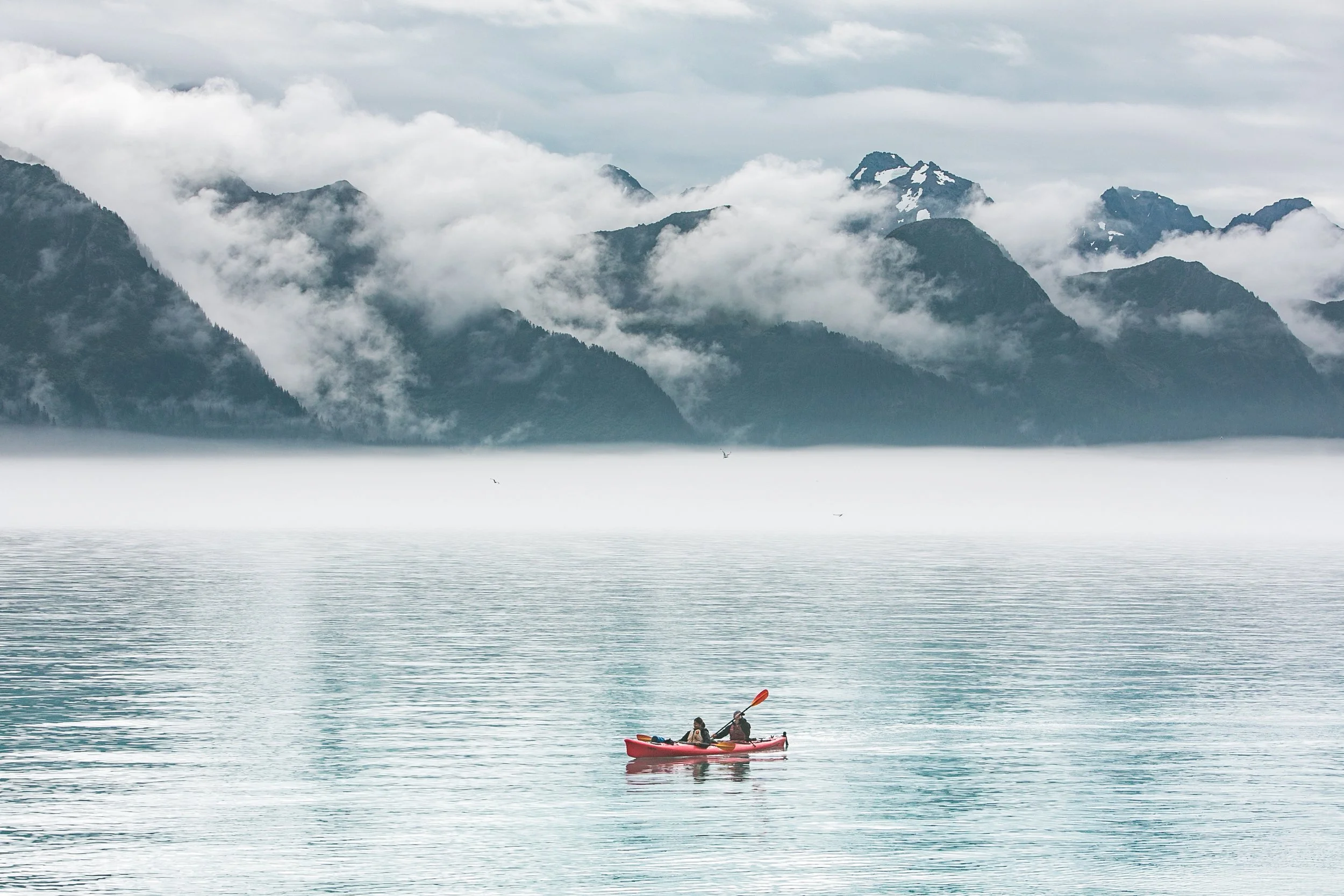 Resurrection Bay Tours - Sunny Cove - Kayaking, Hiking, Wildlife ...