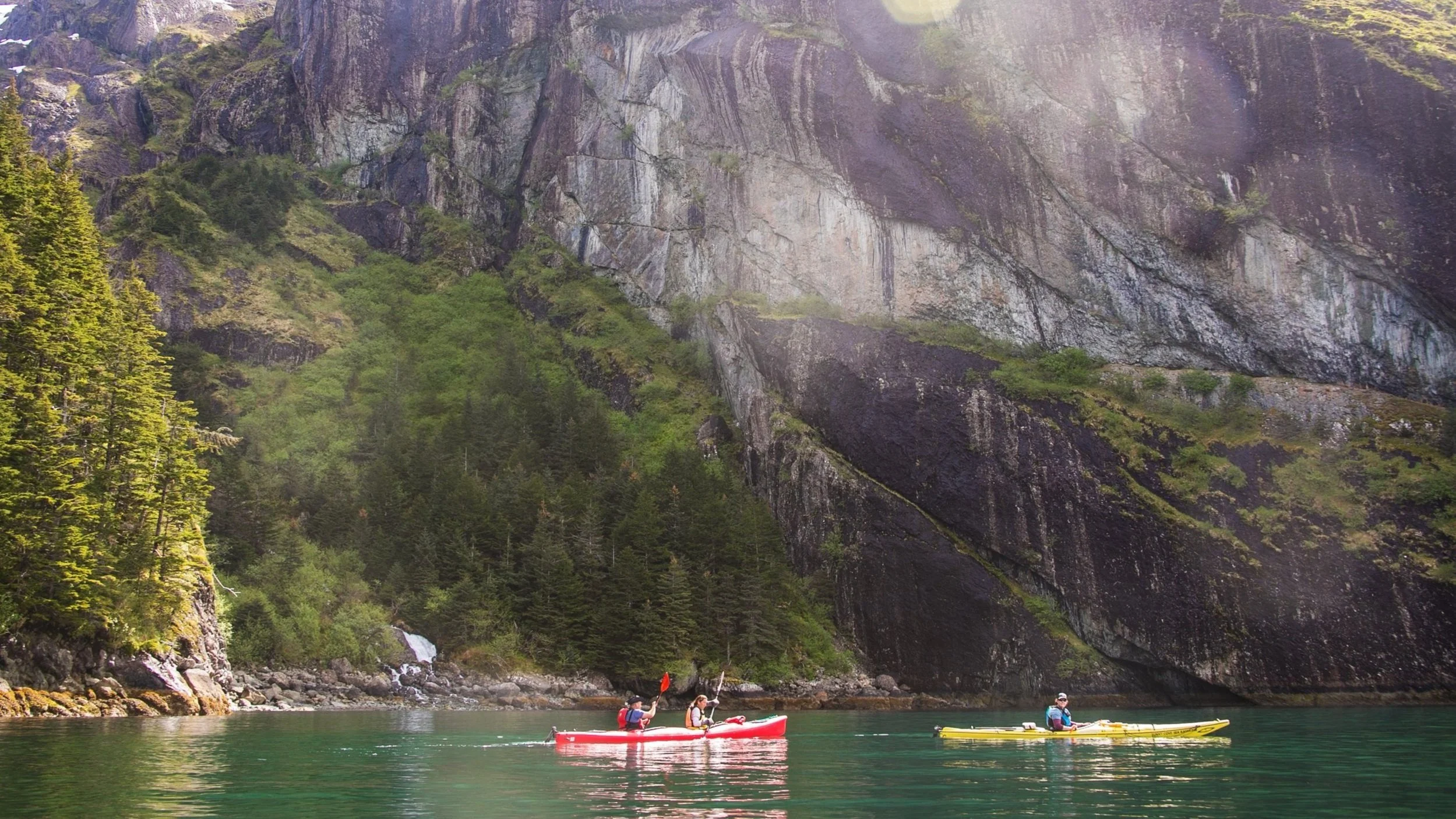 Resurrection Bay Tours - Sunny Cove - Kayaking, Hiking, Wildlife ...