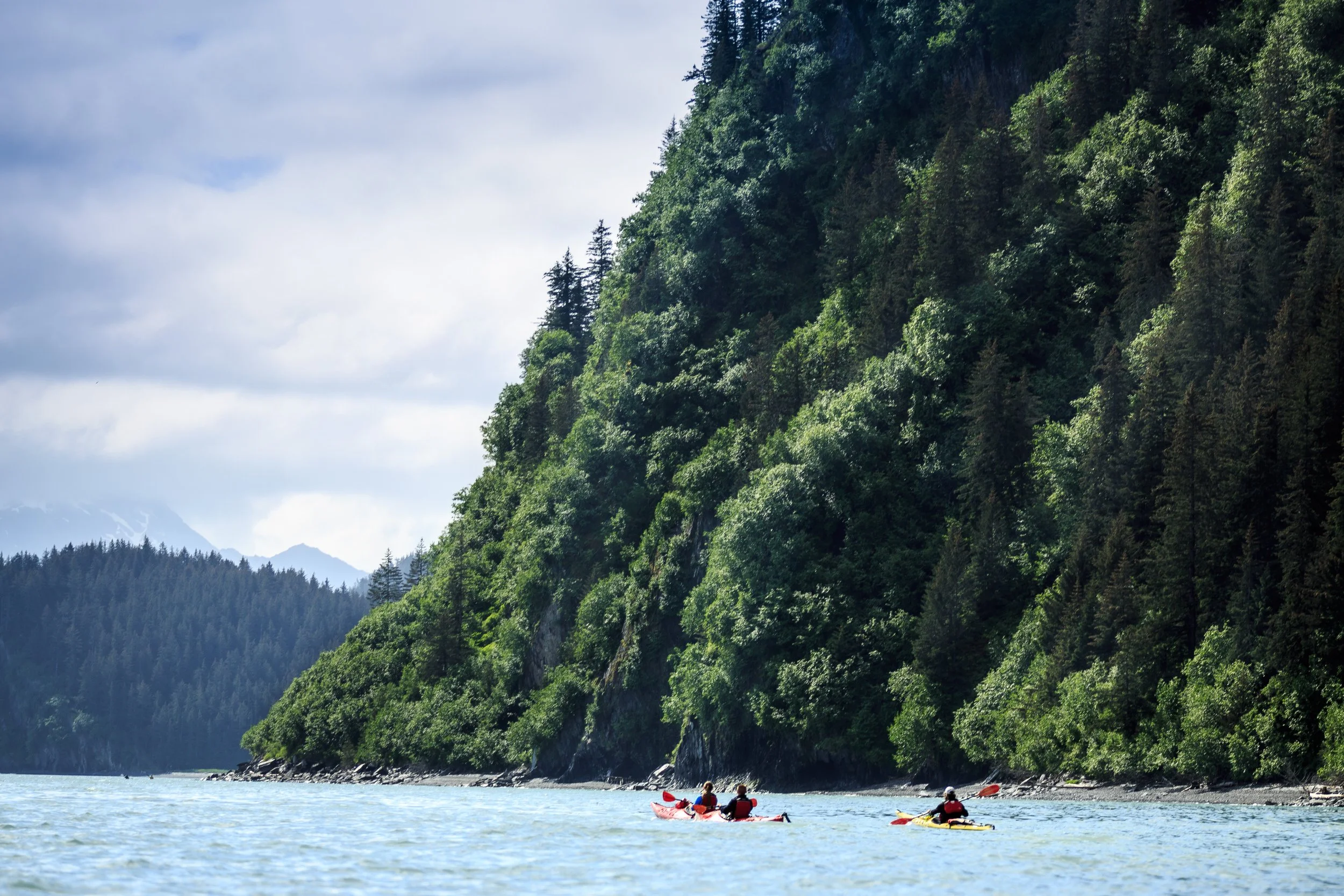 Resurrection Bay Tours - Sunny Cove - Kayaking, Hiking, Wildlife ...