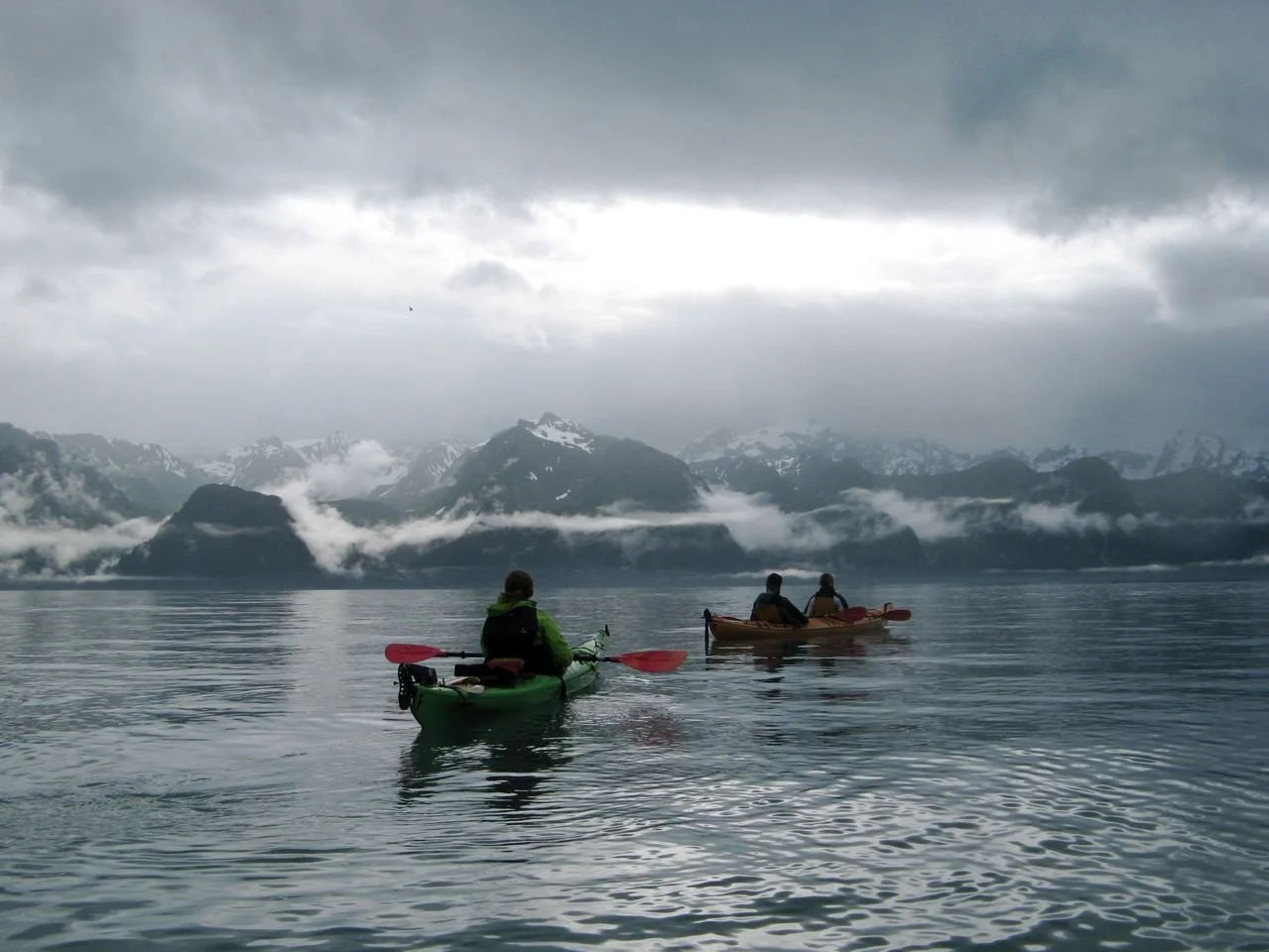 Resurrection Bay Tours - Sunny Cove - Kayaking, Hiking, Wildlife ...
