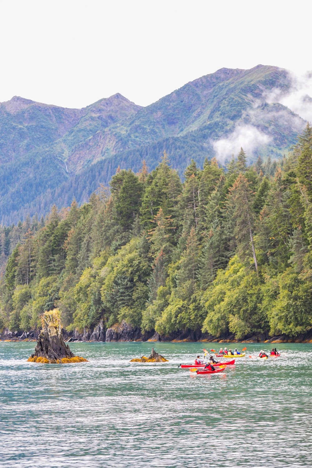 Resurrection Bay Tours - Sunny Cove - Kayaking, Hiking, Wildlife ...