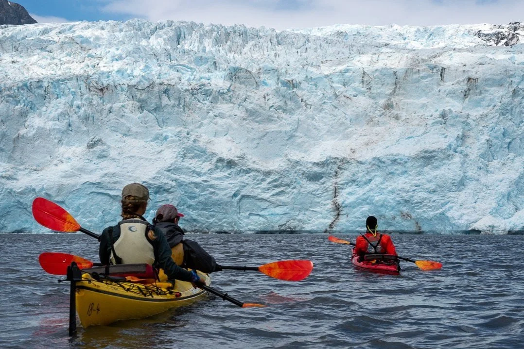 Resurrection Bay Tours - Sunny Cove - Kayaking, Hiking, Wildlife ...