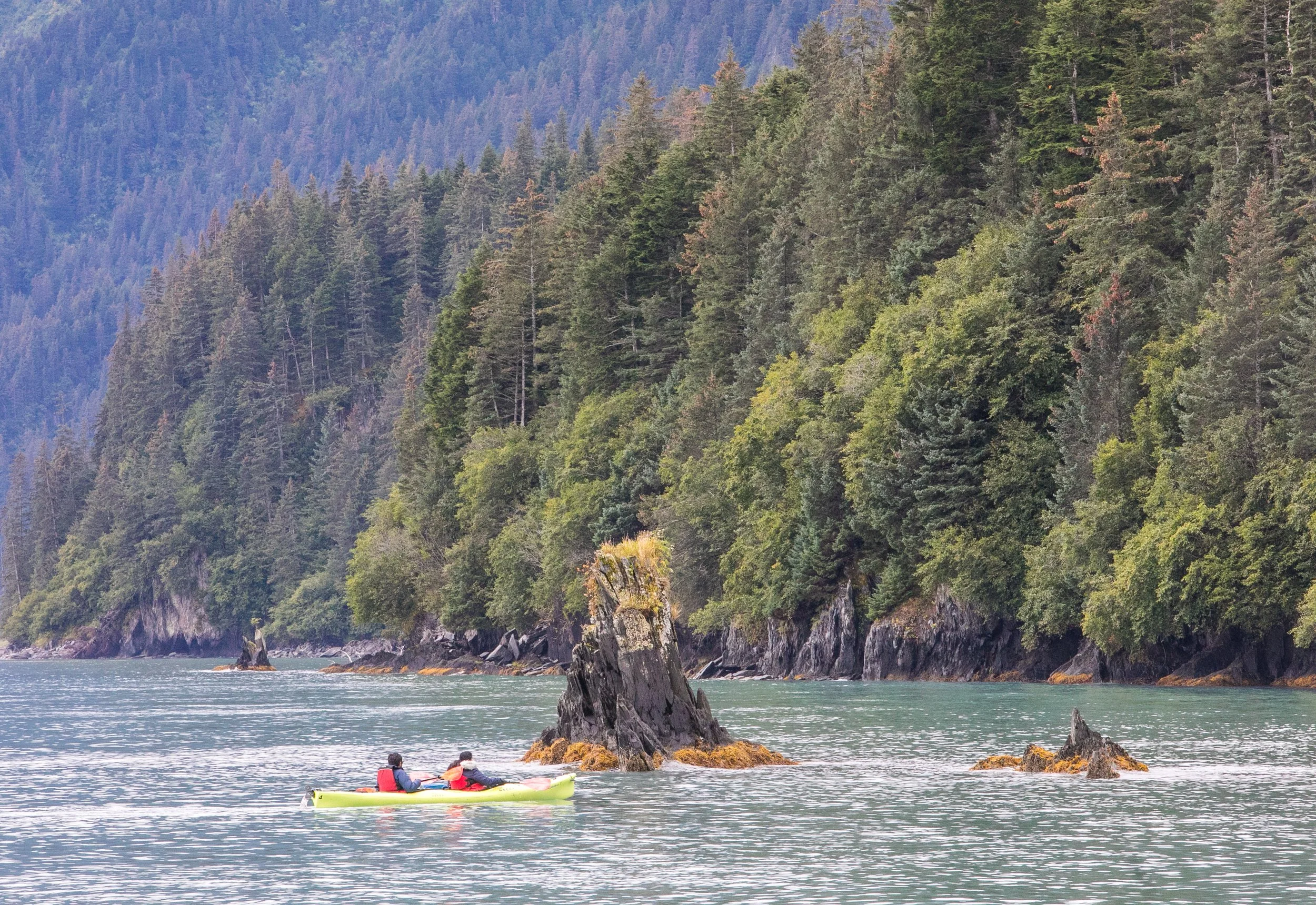 Resurrection Bay Tours - Sunny Cove - Kayaking, Hiking, Wildlife ...