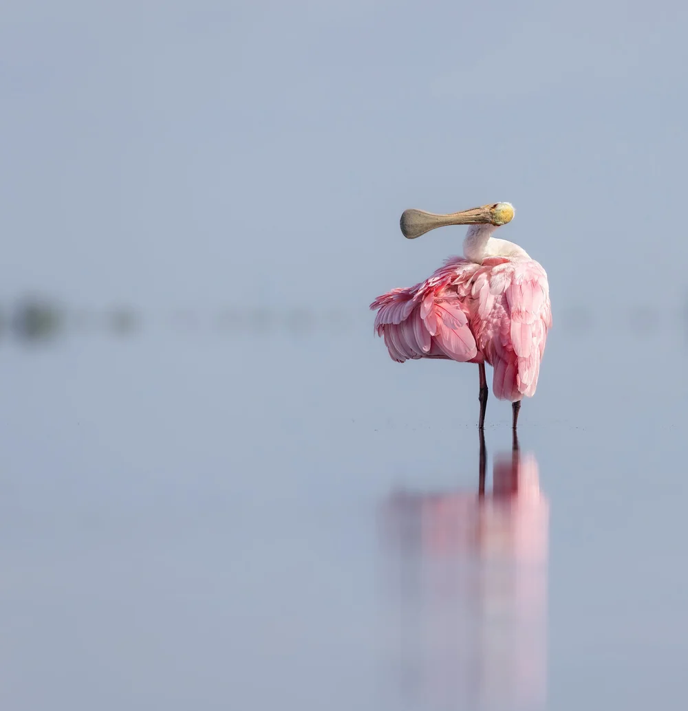 Robert Gloeckner Photography