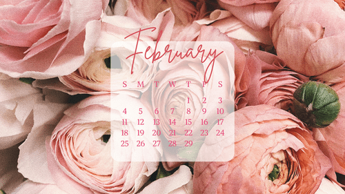 FREE February 2024 Wallpapers — Afterglow Plans