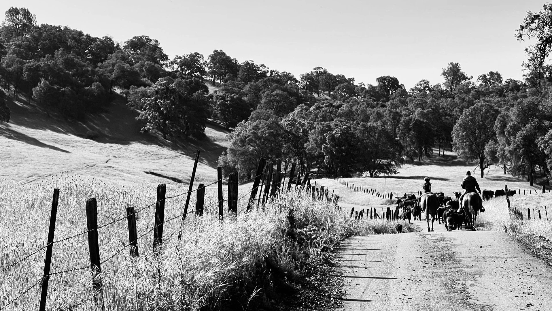 Info. — Imperial Hotel