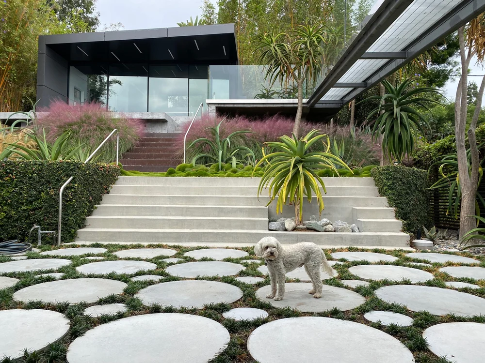 Landscape — Griffin Enright Architects