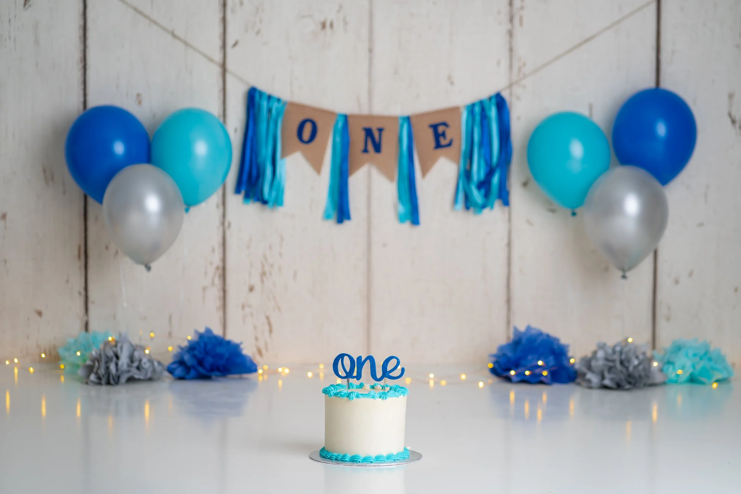 Cake Smash Themes — Steph Donaher Photography