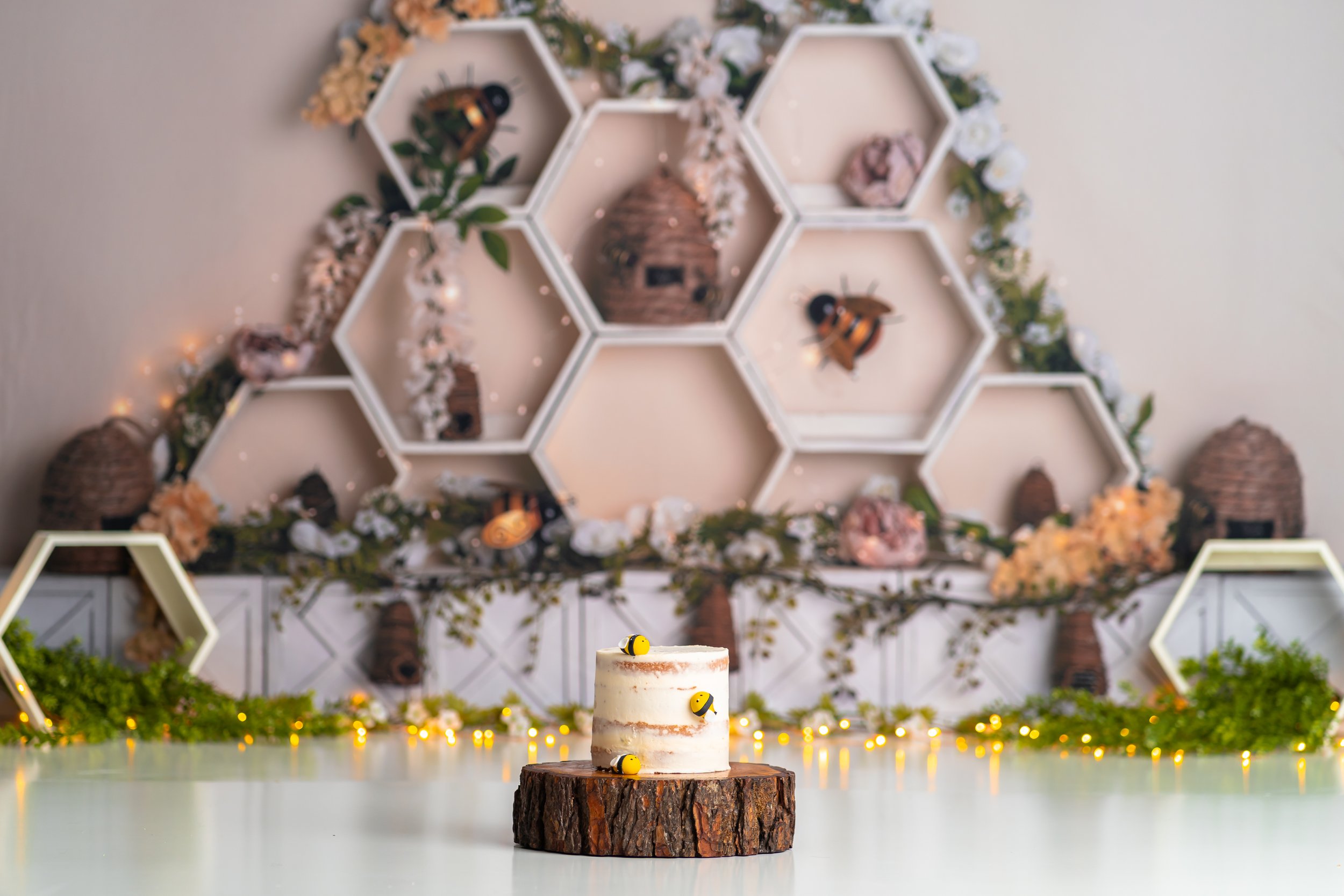 Cake Smash Themes — Steph Donaher Photography