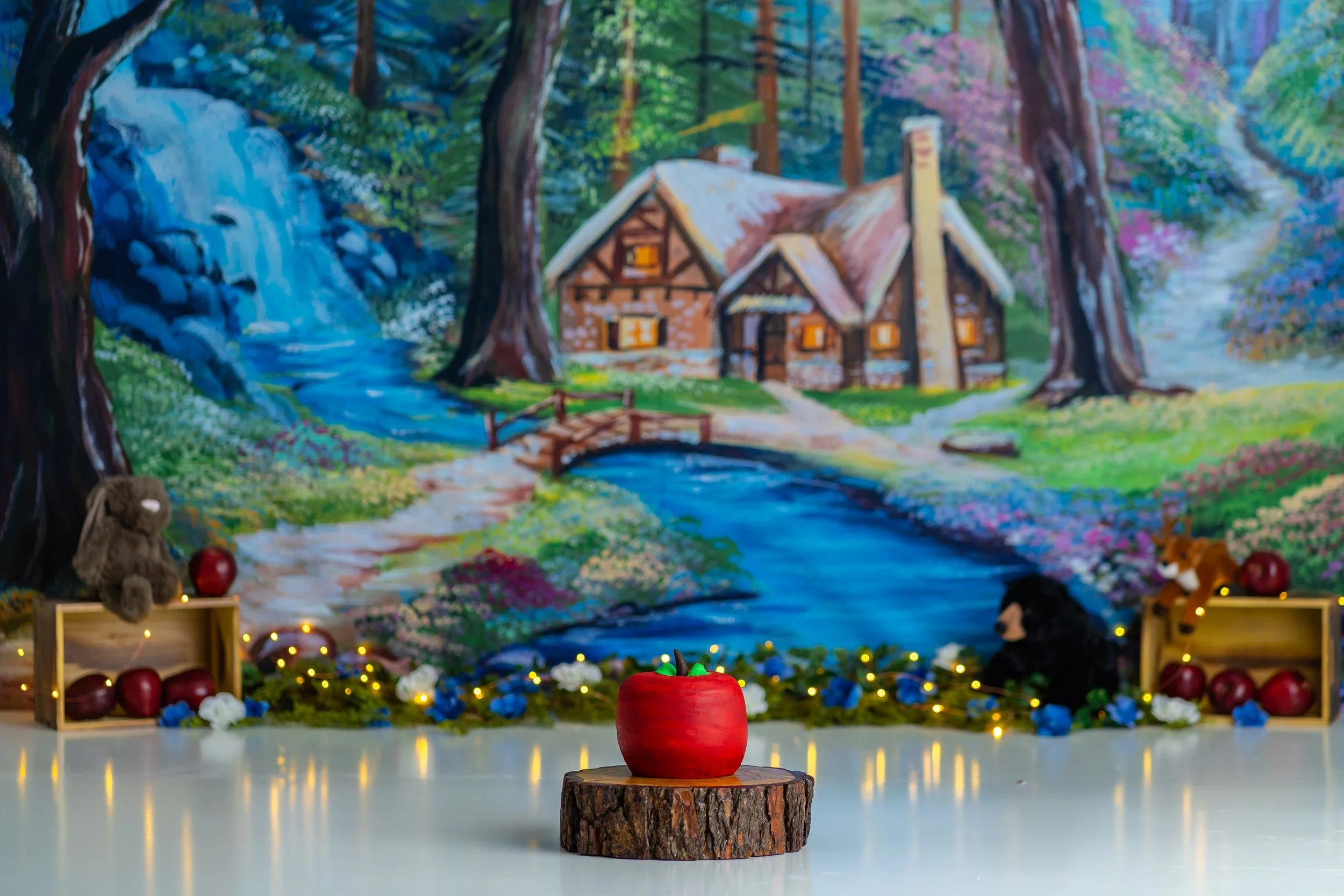 Cake Smash Themes — Steph Donaher Photography