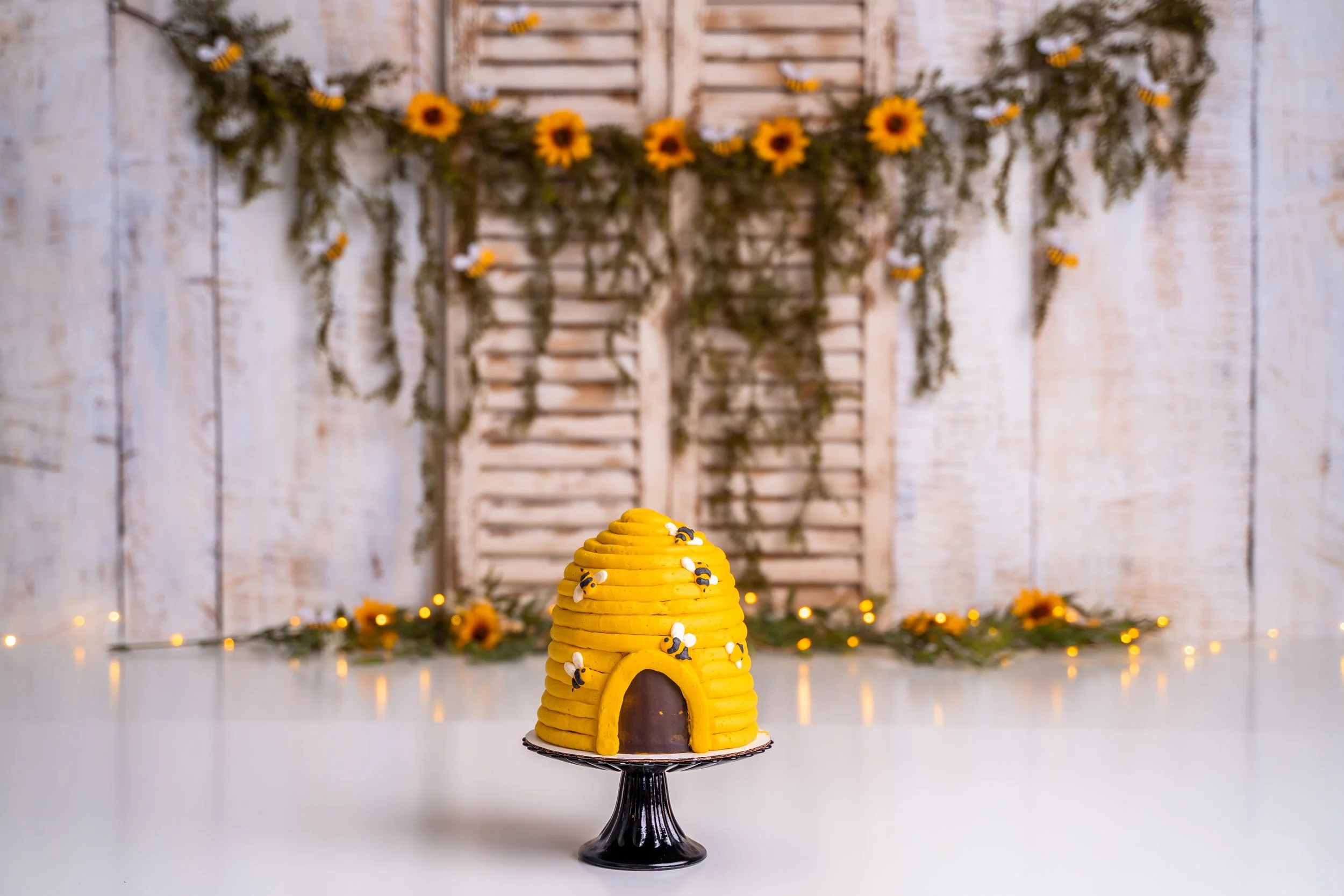 Cake Smash Themes — Steph Donaher Photography