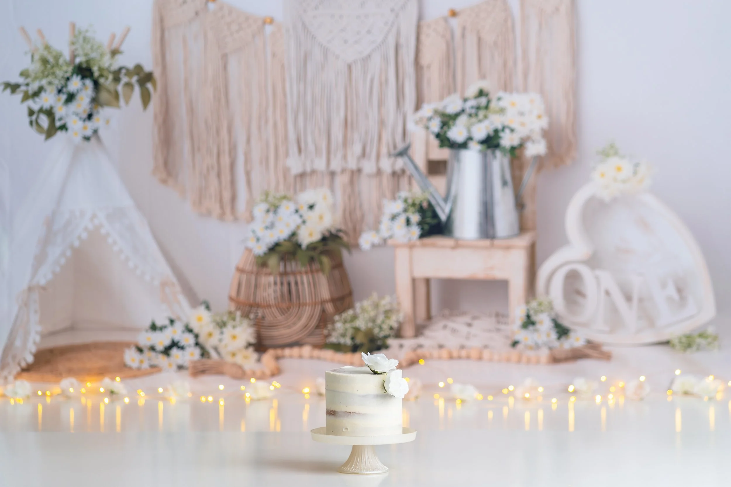 Cake Smash Themes — Steph Donaher Photography