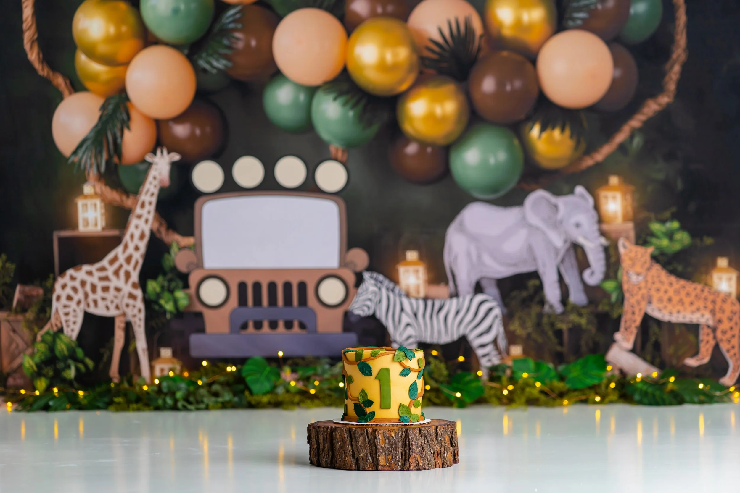 Cake Smash Themes — Steph Donaher Photography