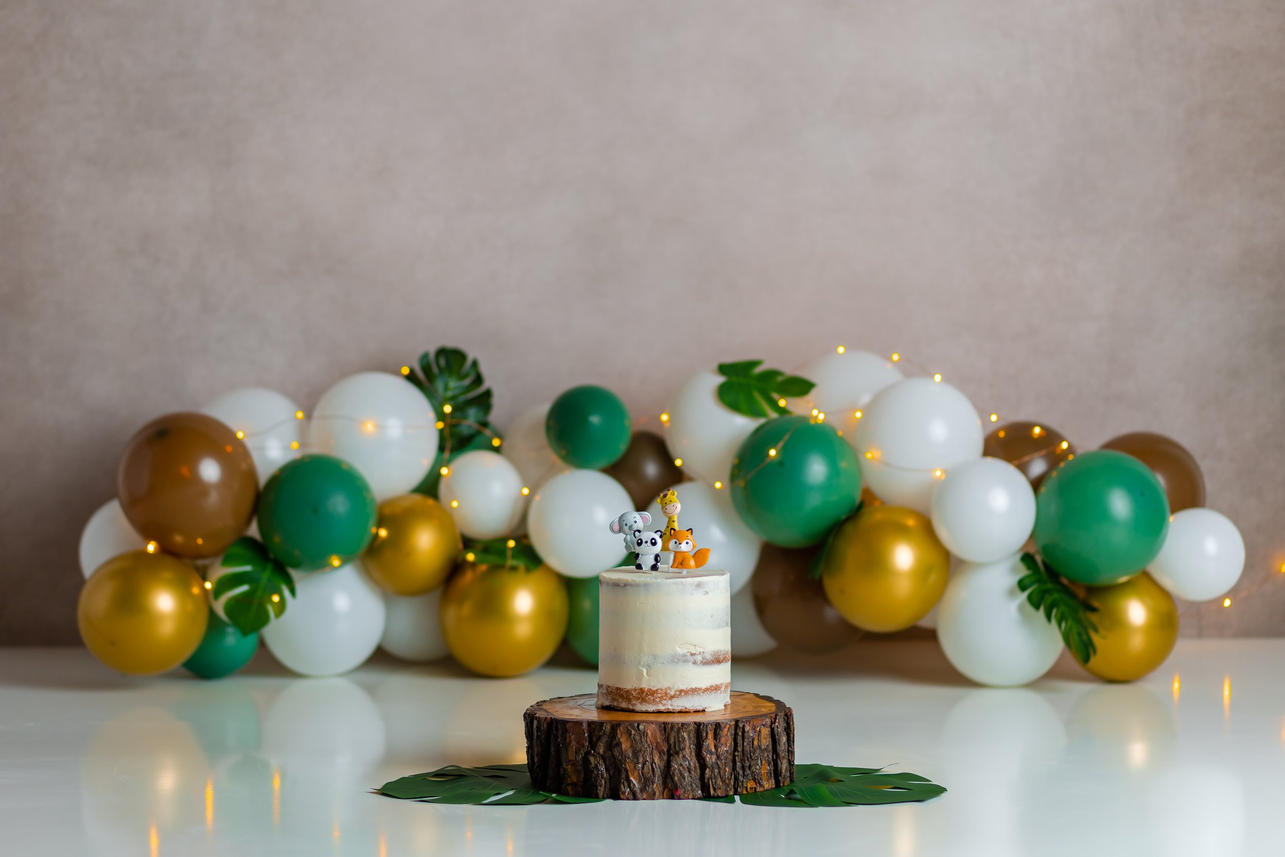 Cake Smash Themes — Steph Donaher Photography