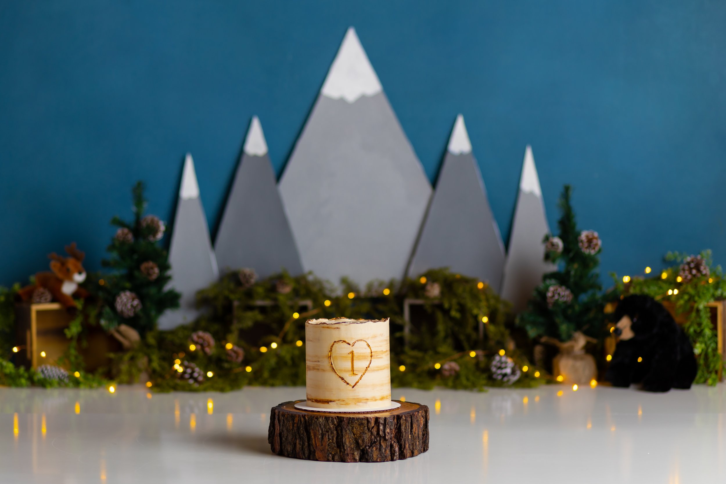 Cake Smash Themes — Steph Donaher Photography