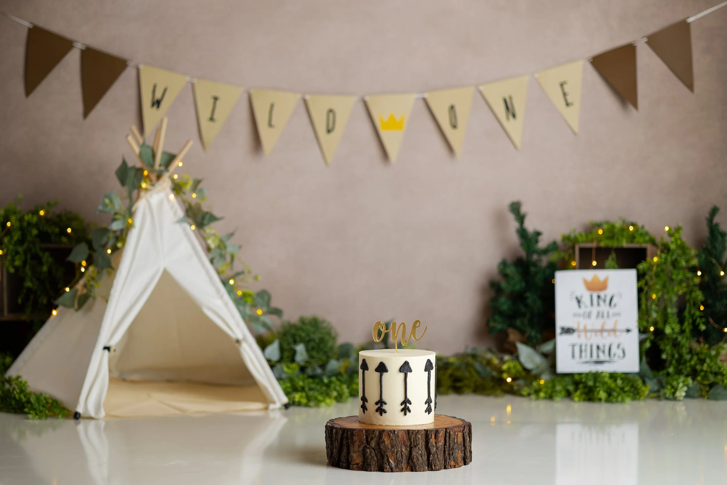Cake Smash Themes — Steph Donaher Photography