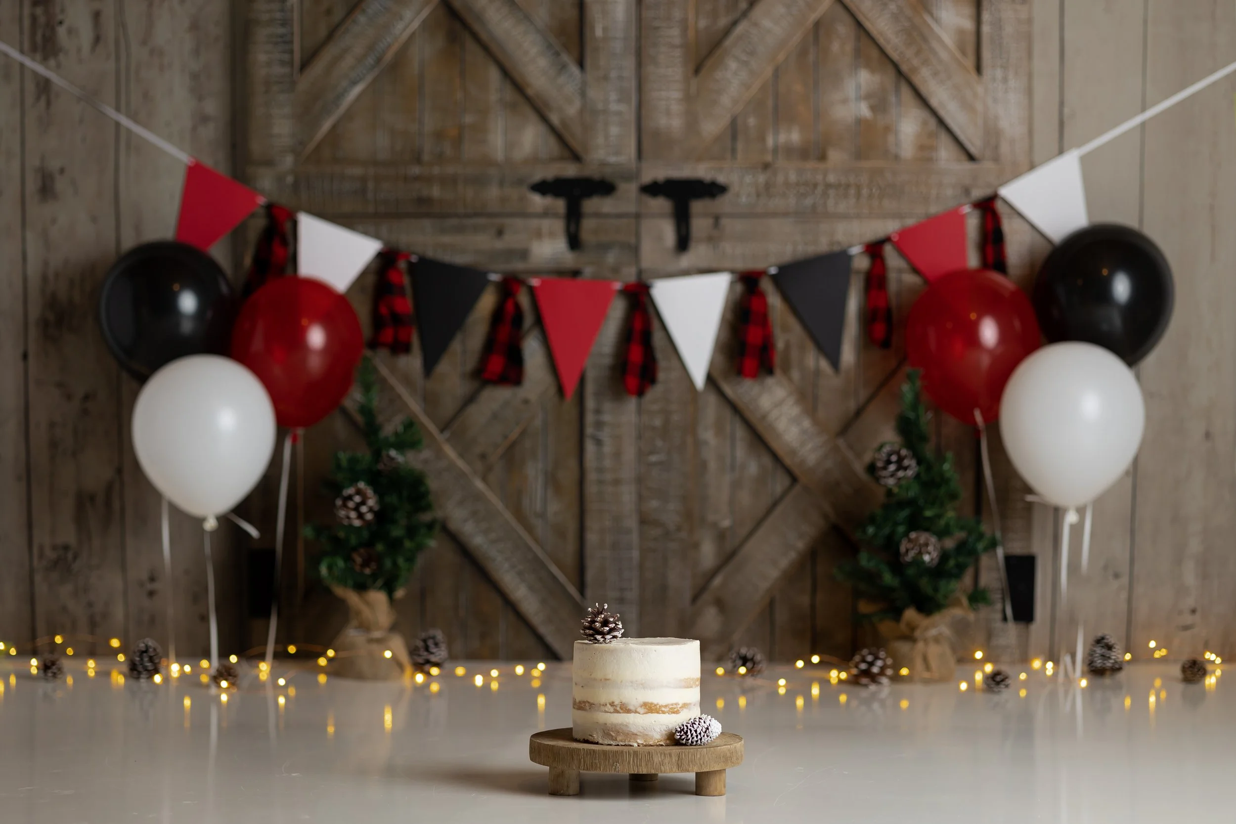 Cake Smash Themes — Steph Donaher Photography