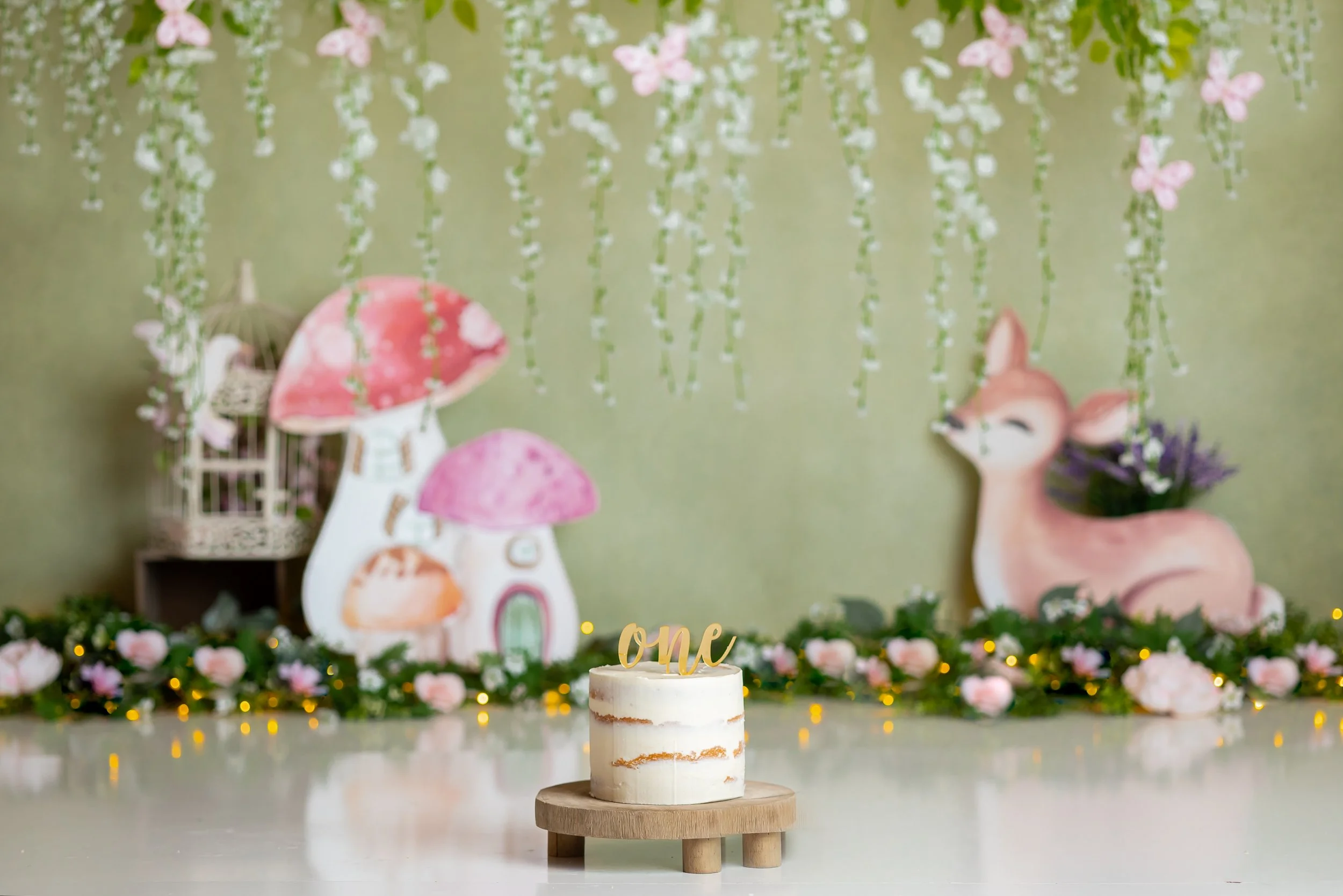 Cake Smash Themes — Steph Donaher Photography