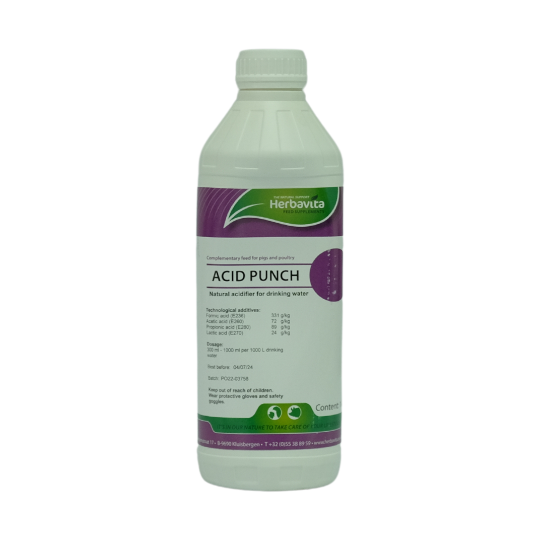 ANN | OUR PRODUCTS
