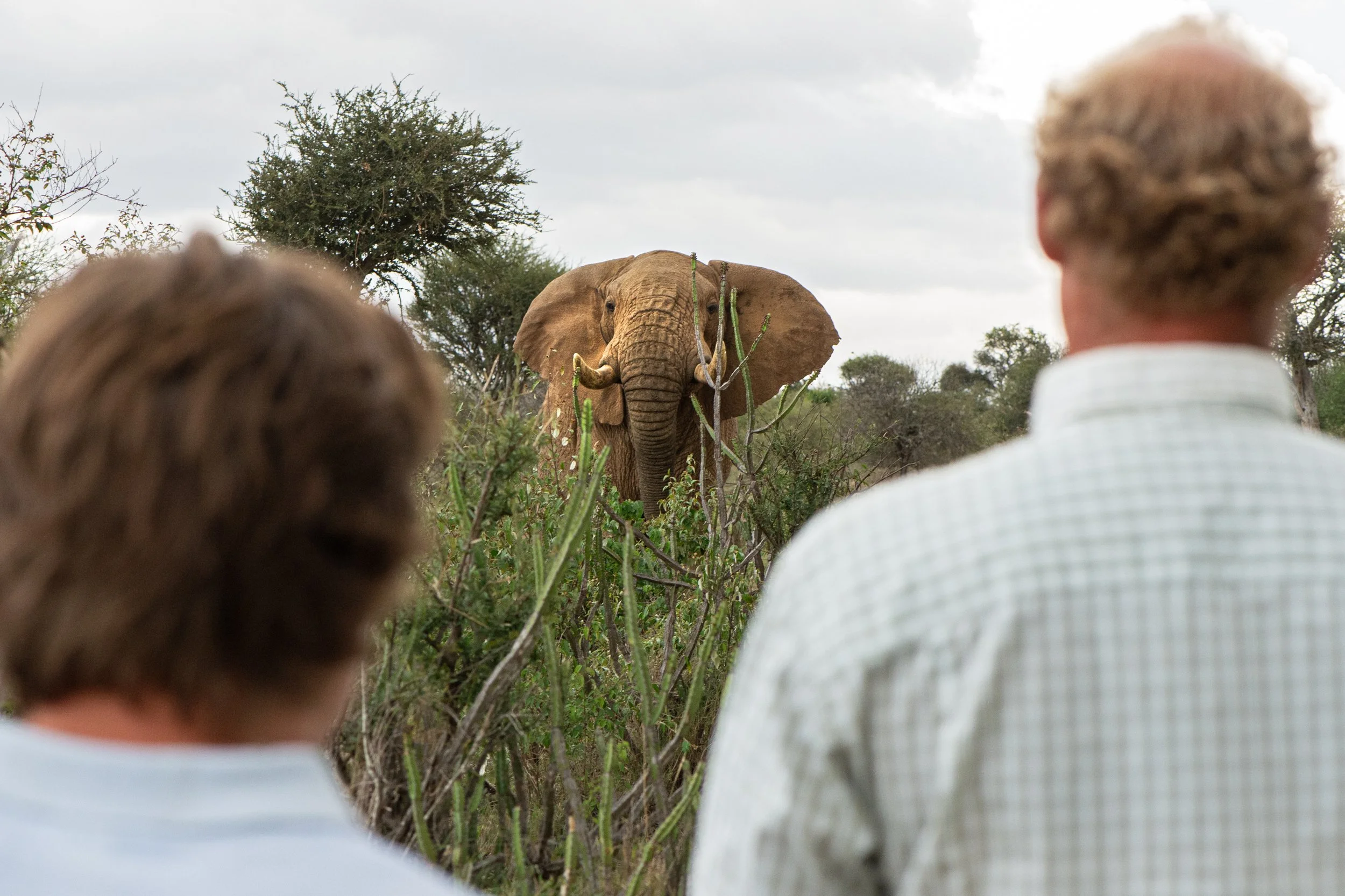 Lakipia Wilderness