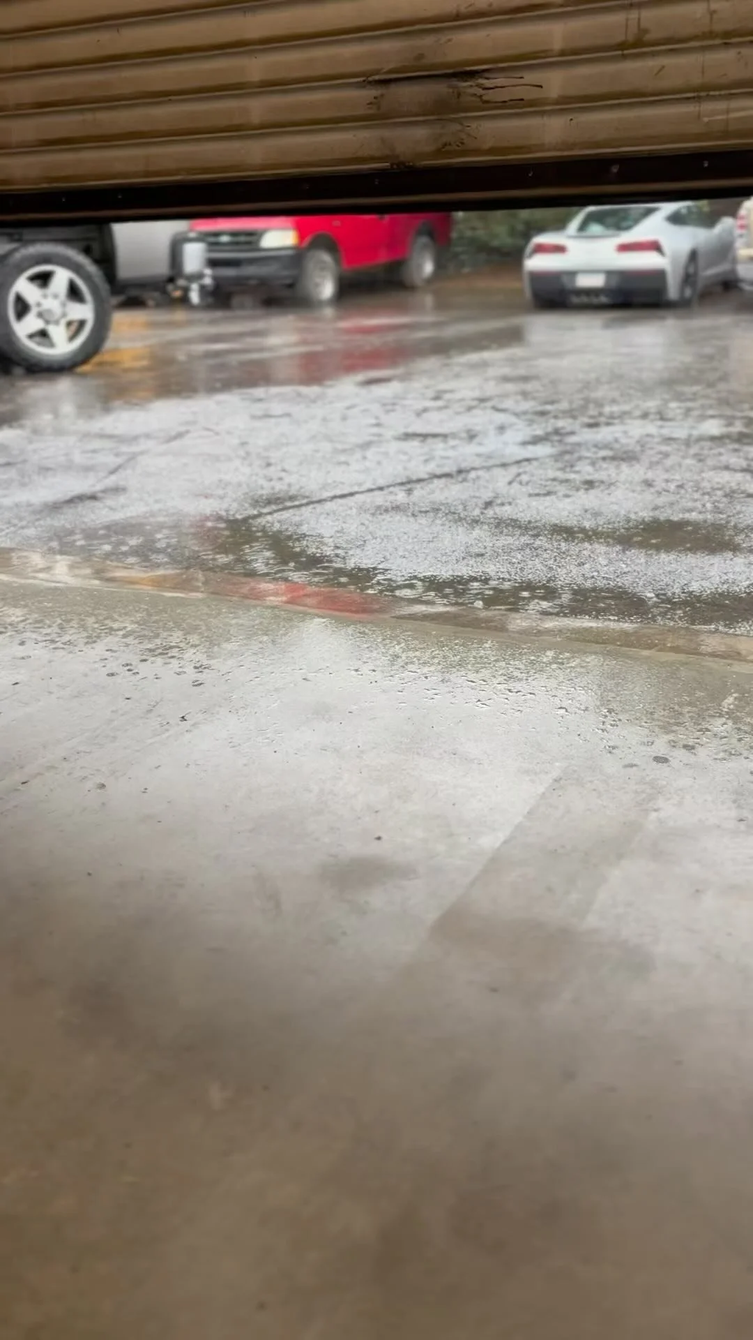 Photos — Moonlight Performance