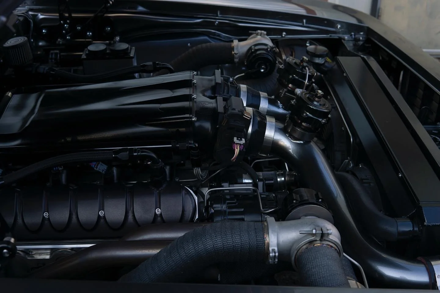 Photos — Moonlight Performance