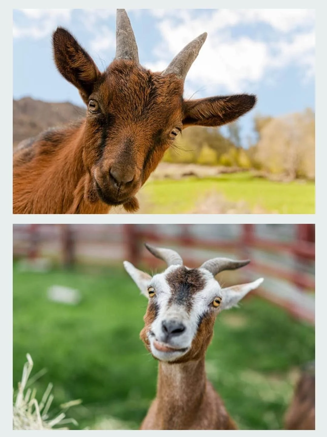 MYM Team — Meet Your Mind