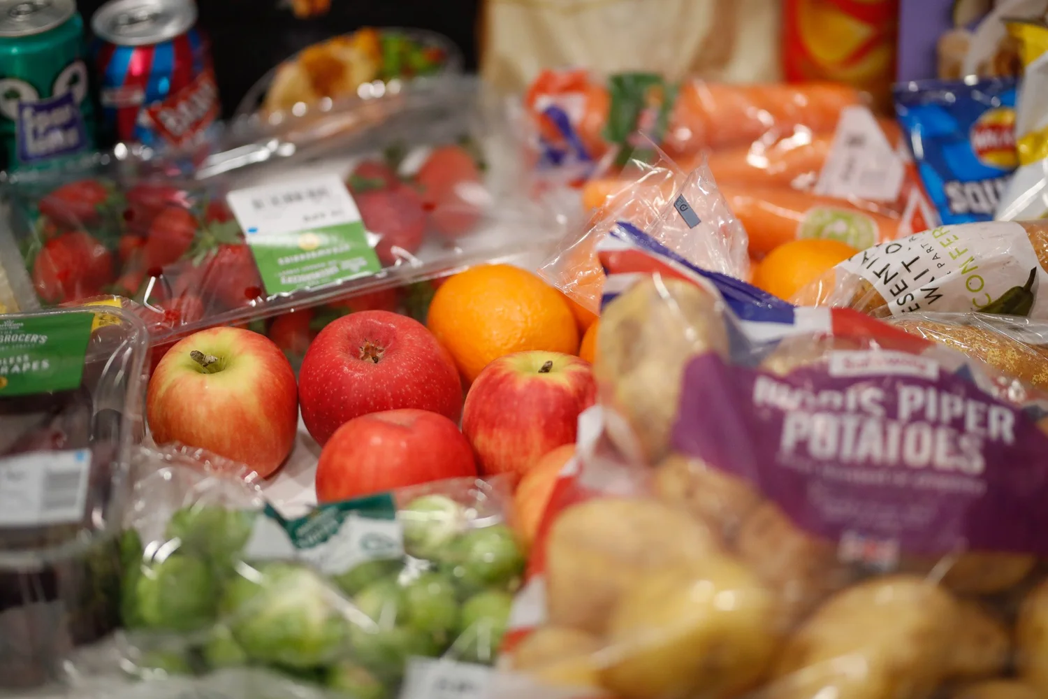 Food Surplus | Reduce Waste, Support Food Access — The Bread and Butter ...