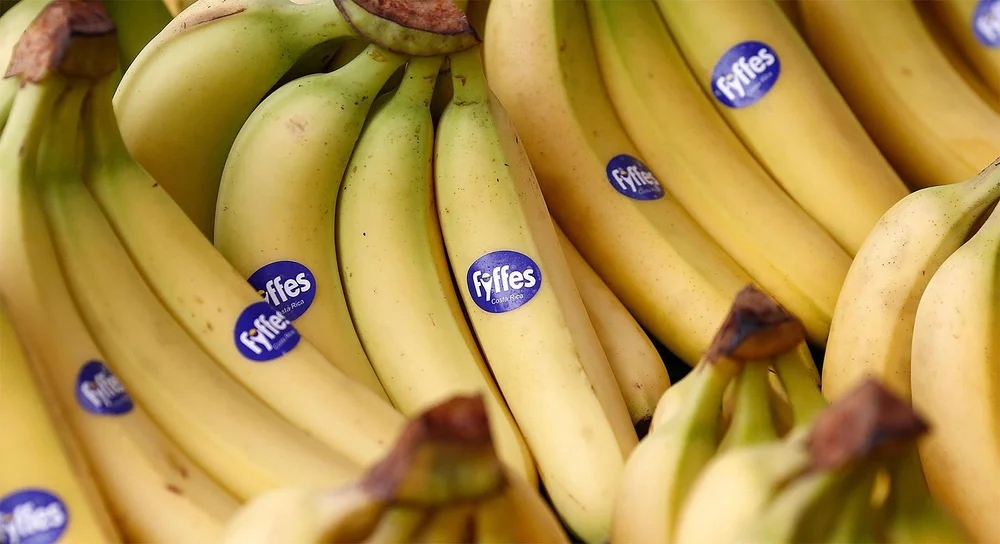 FOOD PARTNER SPECIAL: The science secrets behind the humble banana with ...