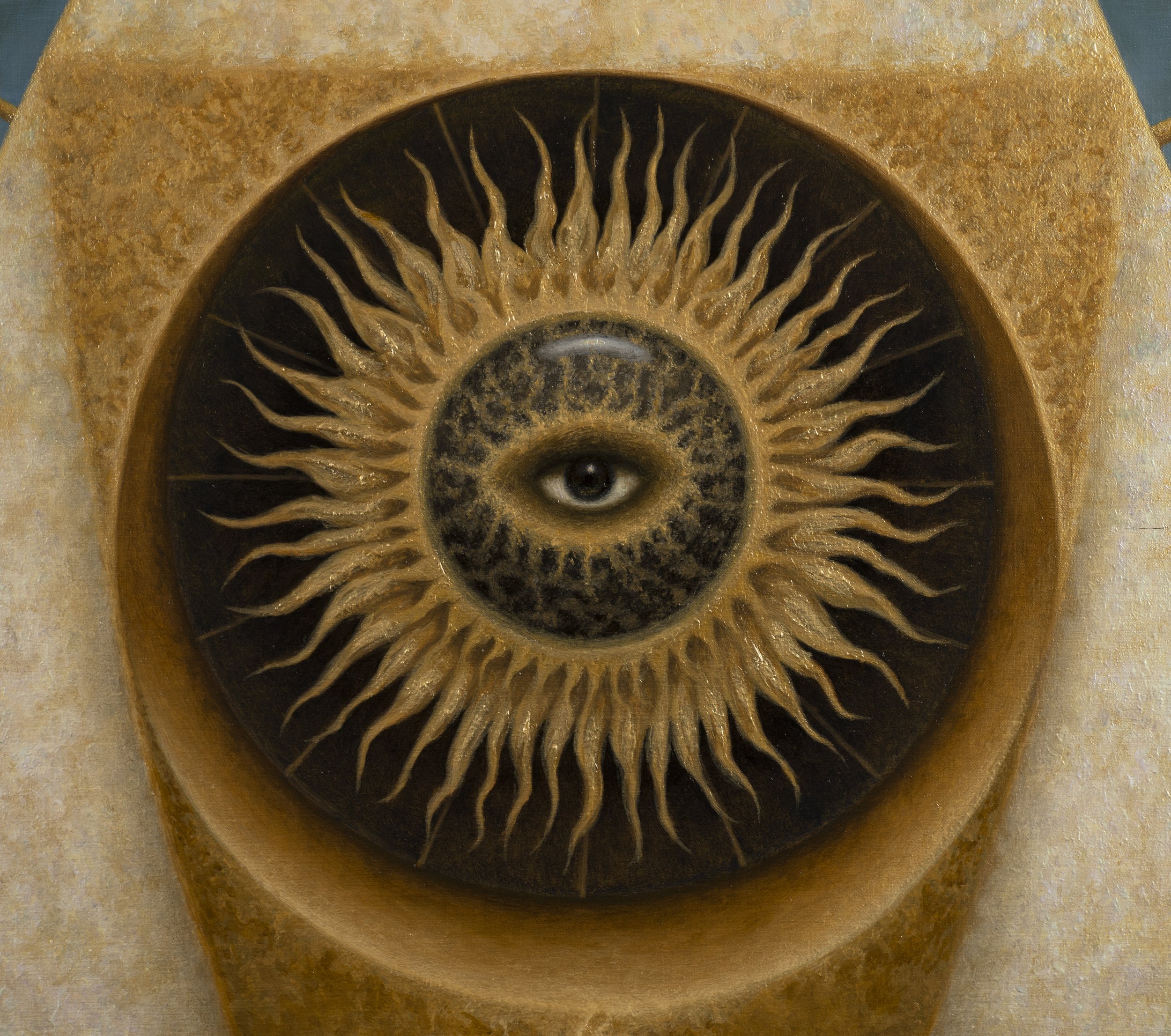 Shop — STEVE LATTA