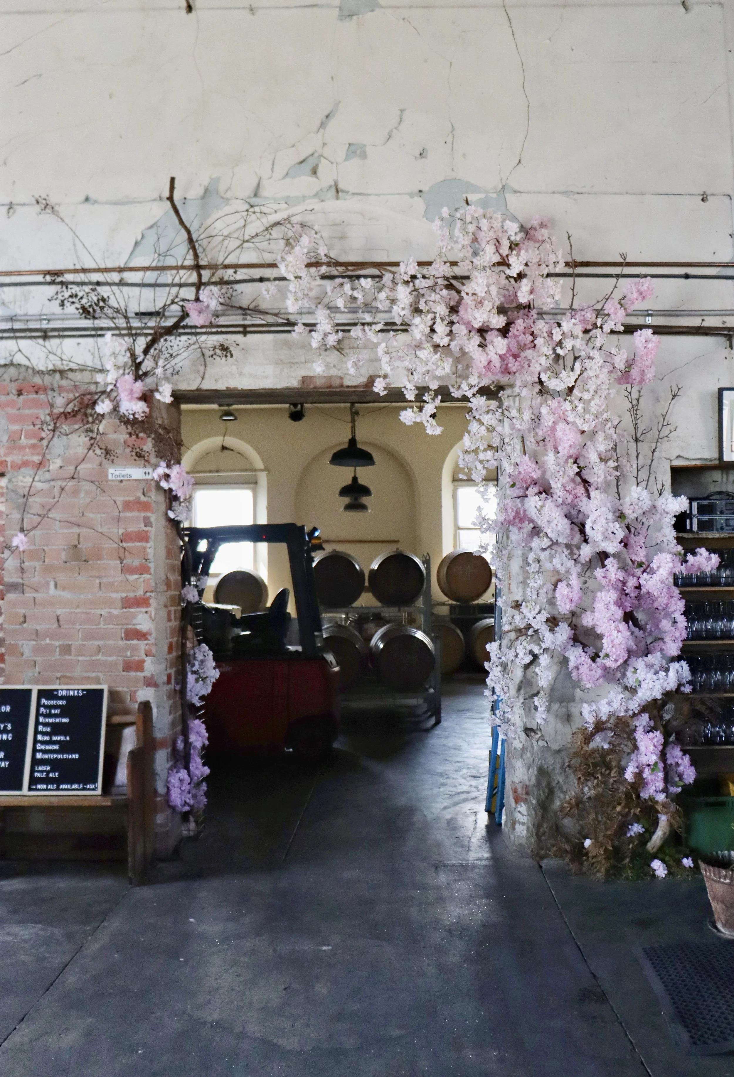 Oddio Bowden Spring 2023 — wildwood adelaide