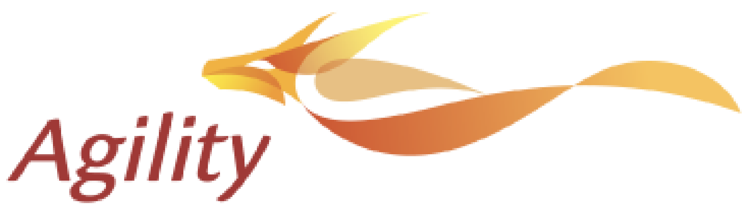 ESG — Engineering Systems Group