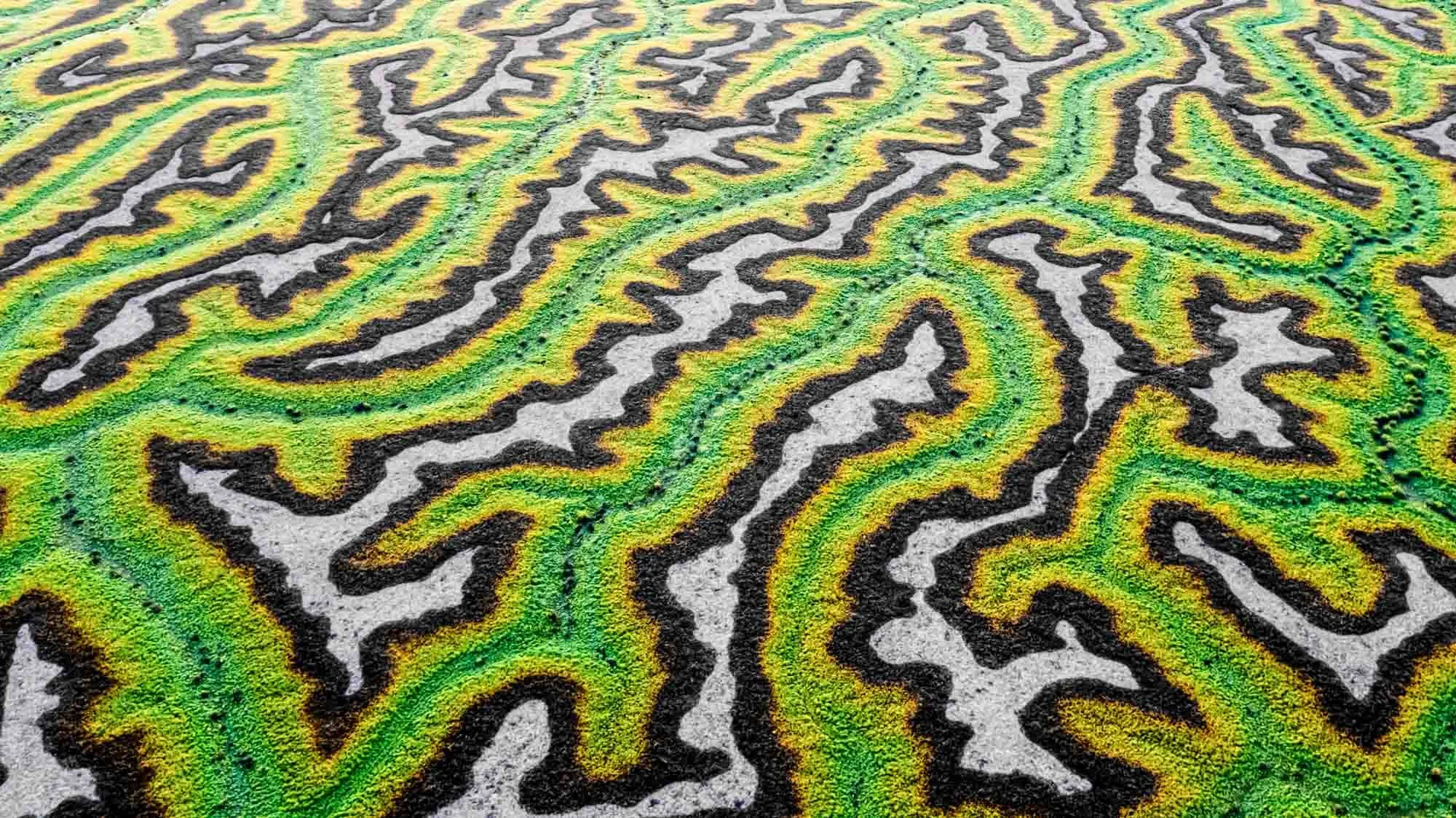 Rachel Suzanne Tien Wood